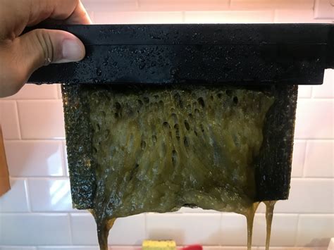 Algea Scrubber Or Reactor Reef2reef