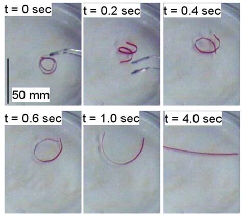 Polymers Special Issue Novel Stimuli Responsive Copolymers