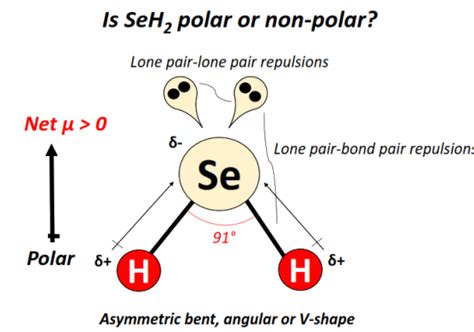 Seh2 Lewis Structure