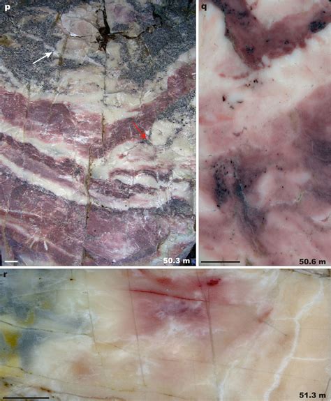 31 Continued P Variegated Dolarenite With Slumpassociated Download Scientific Diagram