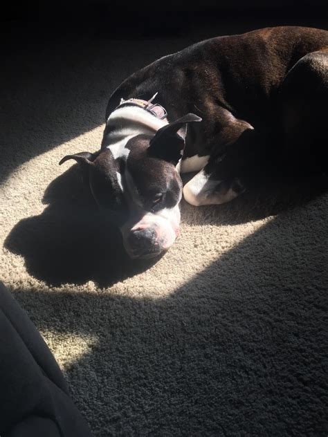 289 Best Bacchus Images On Pholder Smite Artefact Porn And New Orleans