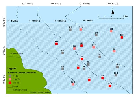 Spatial Distribution Of Mantis Shrimp Based On Distance Stratification Download Scientific