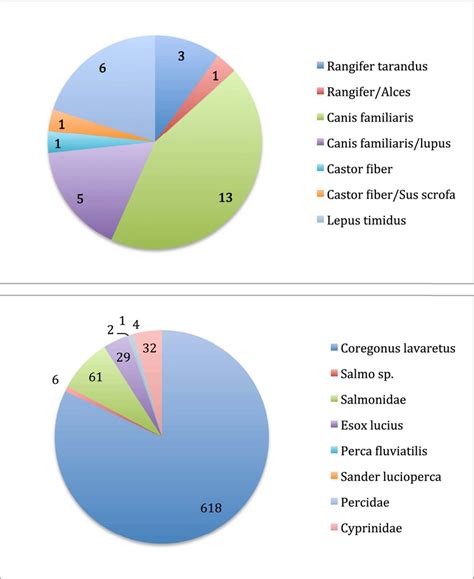 yoo faunal remains identified mammalian remains from yoo 2007 total