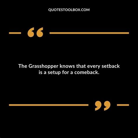 The Grasshopper Knows That Every Setback Is A Setup For A Comeback