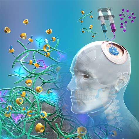 Top Research Center For Macromolecules And Biomaterials Nims