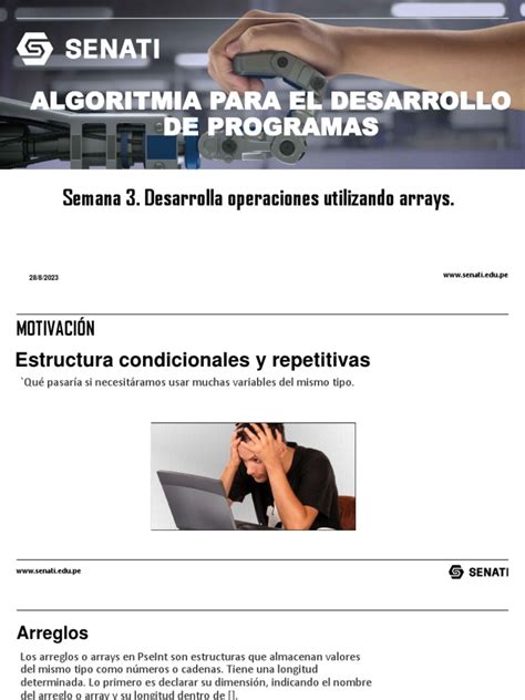 Sesión 3 Arreglos Pdf Lenguaje De Programación Ingeniería Informática