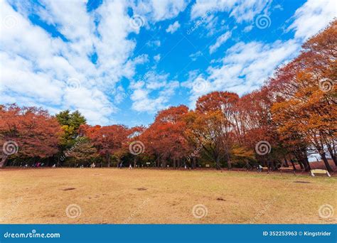 Autumn In Koganei Park Tokyo Japan Stock Image Image Of Nature