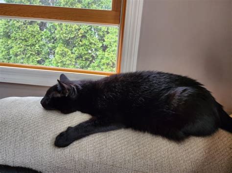 Vanoss Knew R Vanossgaming