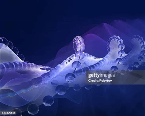 532 Human Evolution Graphic High Res Illustrations Getty Images