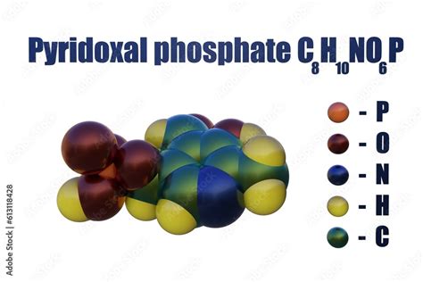 Vitamin B6 As Coenzyme At Andy Summer Blog