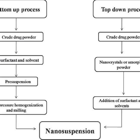 Schematic Diagram Of The Preparation Of Niosomes Via Reverse Phase