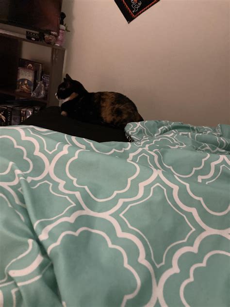 Drunk On Vodka With My Buddy While My Gf Is Sleeping Next To Me Good Times Scrolller
