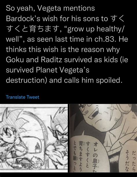 Bardock And His Sons