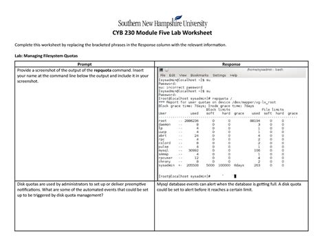cyb 230 module five lab worksheet cyb 230 module five lab worksheet