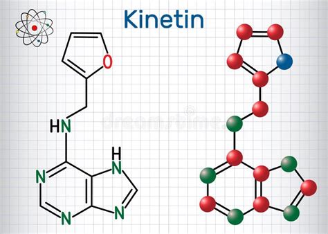 Kinetin N6 Furfuryladenine Molecule It Is Plant Hormone Structural