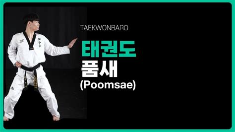 [영상 콘텐츠 알아보기] 태권도 품새 Poomsae Youtube