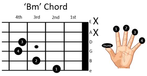 Bm Guitar Chord Made Easy Beginners Guide With Diagrams