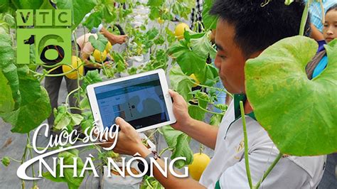 Nông Dân Việt đổi đời Nhờ Nông Nghiệp 40 I Vtc16 Youtube