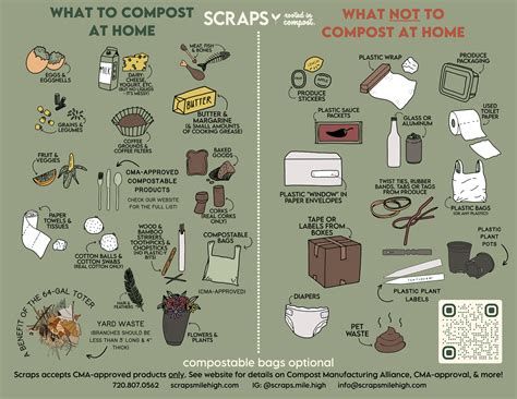 What Can You Compost With Scraps Scraps