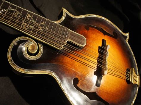 Top 15 Best 10 String Mandolin Reviews And Comparison 2023