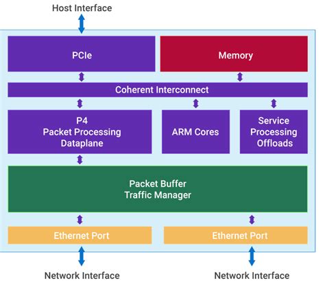 Amd Pensando Dpu Dpus In The New Vsphere 80 And 16th Generation Dell