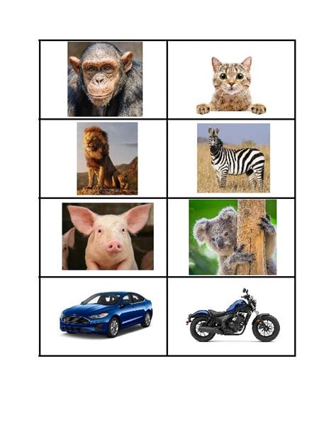 Ablls R B19 Sorting By Class By Aba Easy Resources Tpt