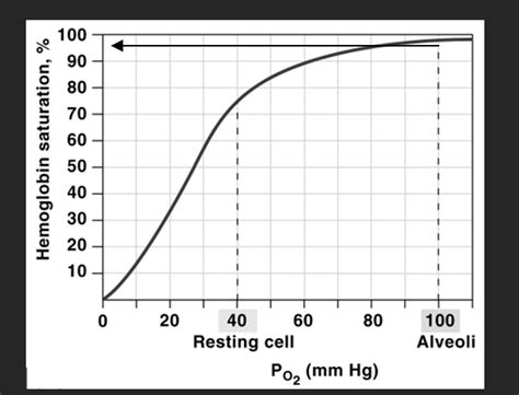 Hemoglobin Saturation 100 90 80 70 60 50 40 30 20 10 0 20 40 60 80 Hemoglobin Saturation 100 90 80 70 60 50 40 30 20 10 0 20 40 60 80