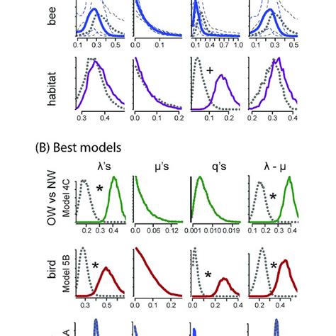 Rates Of Evolution Of Different Trait Classes Among Species Of Ruellia