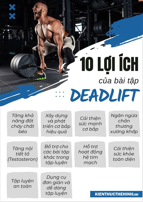 Deadlift Là Gì Lợi ích Của Deadlift Với Người Tập Gym Thể Hình