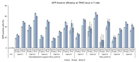 Multiplex Editing T Cells With Be And Cas12 Genscript