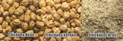 Mtps Chickpea Peeling Machine Wintone Grain Processing Equipment