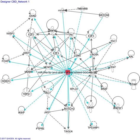 Mirnamrna Gene Network Associated To Lps Stimulated Microglial Cells