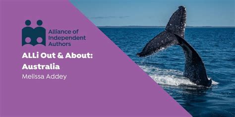 Alli Out And About Australia Melissa Addey Reports From Queensland