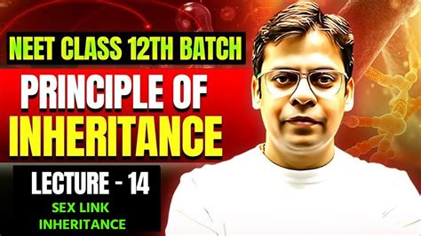 Sex Link Inheritance Lecture 14 Principles Of Inheritance Rishabh