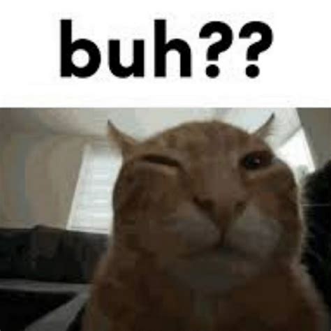 Memes That Are Approved By Buh Cat Youtube