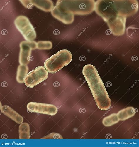 Bacteria Bacteroides Fragilis Stock Illustration Illustration Of Bacterial Microbiology