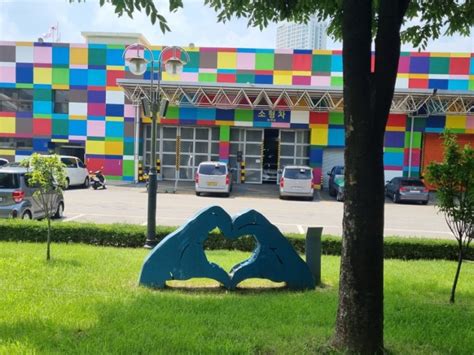 여름날 양재꽃시장 수국 만원의 행복영업시간주차휴무여름휴가 네이버 블로그