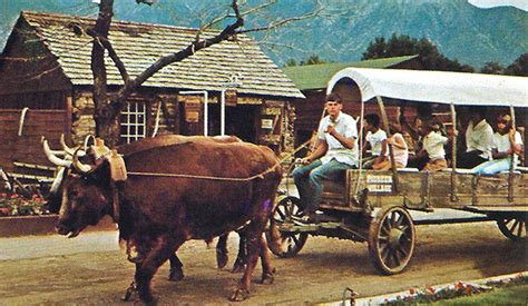 Ox Drawn Wagon Lagoon History Project