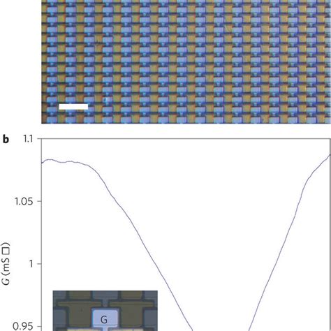 Graphene Transistor Array With A Density Of 40000 Devices Per Cm2