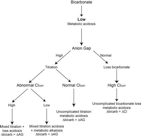 Diagnostic Algorithm Low Bicarbonate Eclinpath