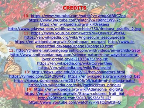 Biotic Relationships Part 3 Some Striking Examples Of … Pollination Ppt