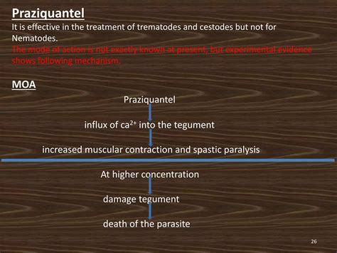 Drugs For Helminthiasis Pdf