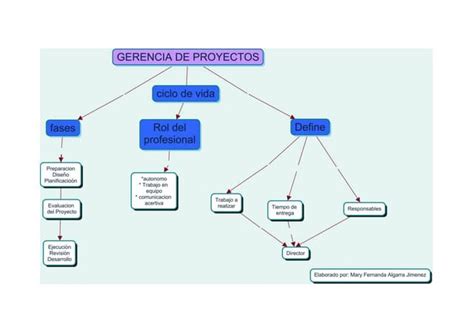 Gerencia De Proyectos Pdf