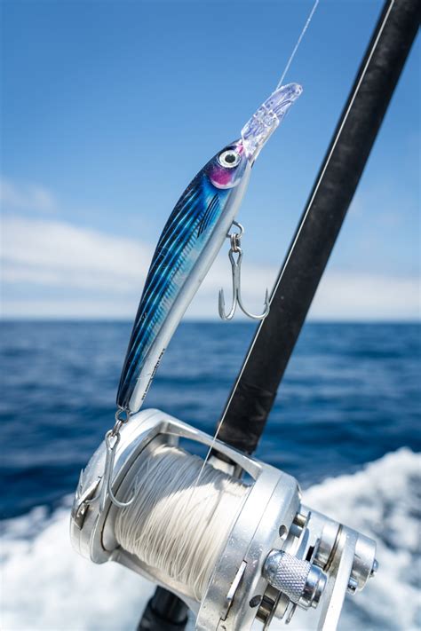 Troll Em Up Rapala X Rap Magnum Xtreme Bd Outdoors