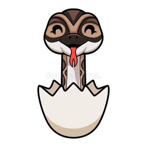 Python Molurus Stock Illustrations Python Molurus Stock Illustrations Vectors Clipart