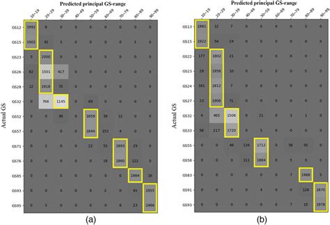 A Wheat And B Barley Principal Gs Classification Employing Convnet