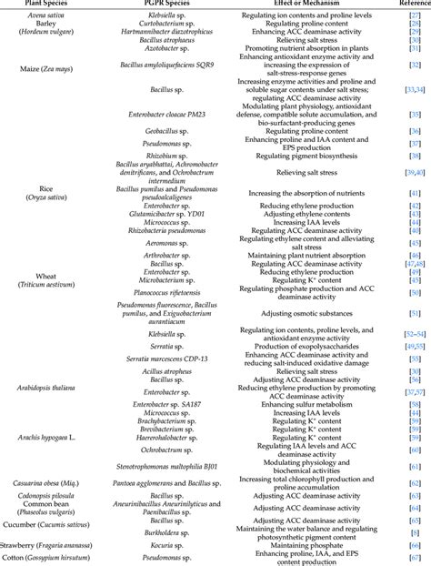 Interaction Of Plant Growth Promoting Bacteria Pgpr Under Stress And Download Scientific