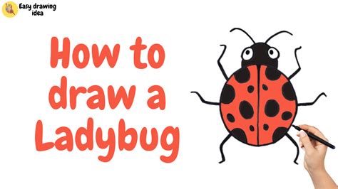 How To Draw A Ladybug Step By Step Hand Of Art