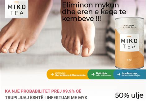 Bërxolla Derri Me Kërpudha Gatime Shqiptare