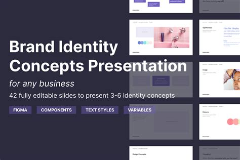 Brand Identity Concepts Presentation For Figma